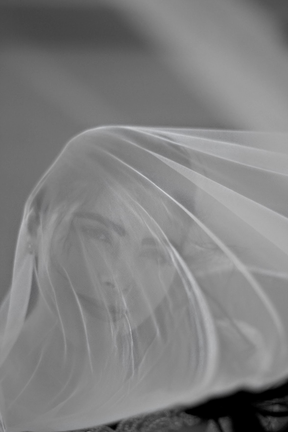 How to become a successful photographer - Moira Grace Photography